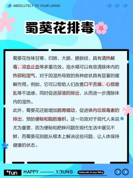 黄蜀葵花泡水可以长期喝吗_黄蜀葵花泡水功效与禁忌-第3张图片-山城妙识