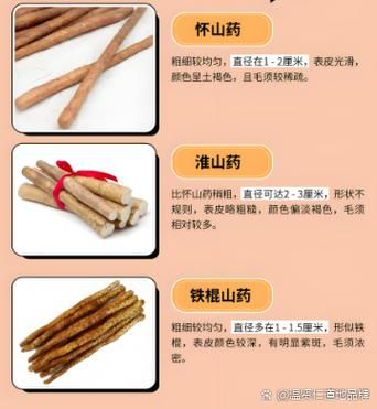 麻山药和铁棍山药的区别_哪个更好-第2张图片-山城妙识
