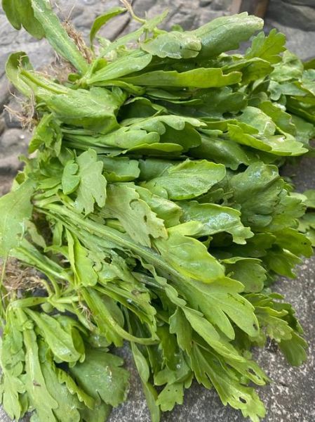 菊花菜的功效与作用_菊花菜怎么吃最营养-第3张图片-山城妙识