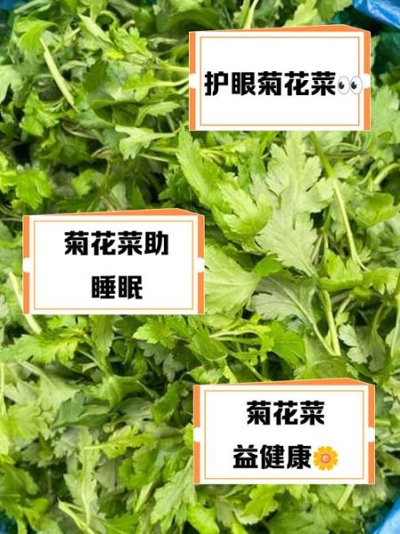 菊花菜的功效与作用_菊花菜怎么吃最营养-第2张图片-山城妙识
