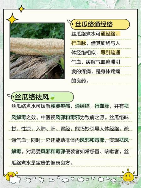 丝瓜络的功效与作用_丝瓜络能治哪些病-第1张图片-山城妙识