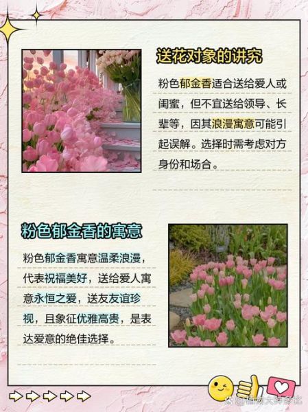 郁金香为什么不能送人_送错花后果-第2张图片-山城妙识 郁金香为什么不能送人_送错花后果-第2张图片-山城妙识