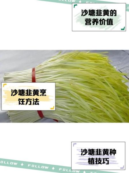 韭黄怎么洗干净_韭黄去泥沙技巧-第1张图片-山城妙识