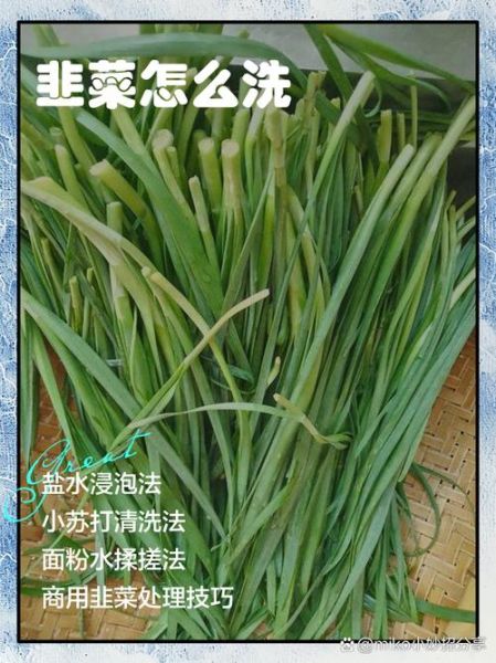 韭黄怎么洗干净_韭黄去泥沙技巧-第3张图片-山城妙识