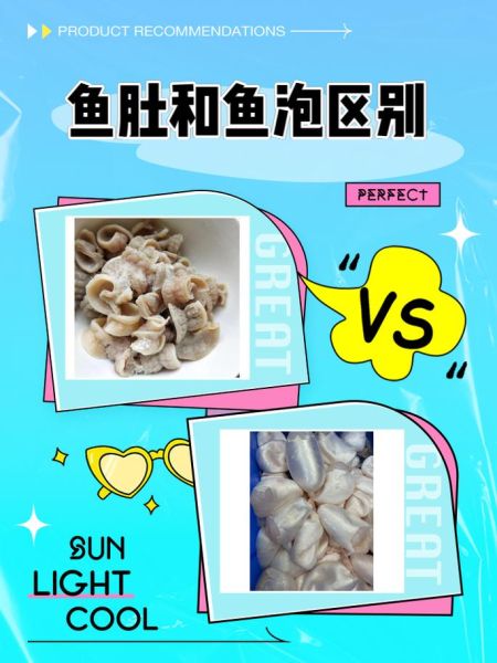 鱼肚是什么器官_鱼肚和鱼鳔一样吗-第1张图片-山城妙识