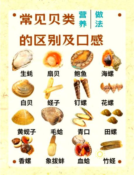 贝类海鲜怎么清洗_贝类海鲜的做法大全-第2张图片-山城妙识