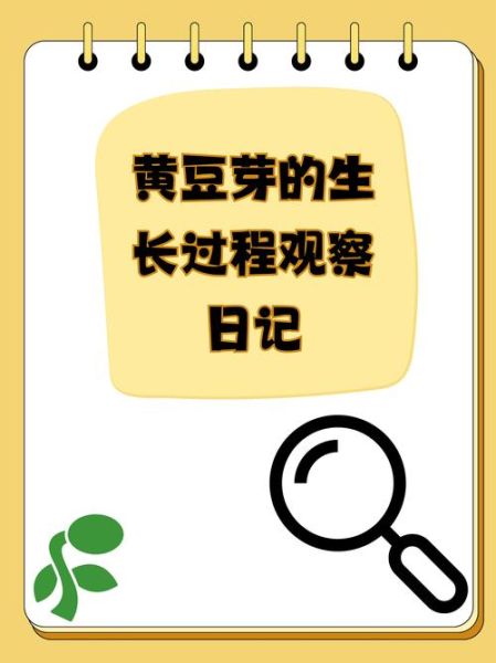 黄豆芽怎么种_家庭无土栽培黄豆芽步骤-第1张图片-山城妙识