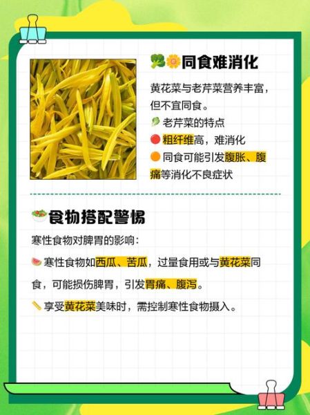黄花菜不能和什么一起吃_哪些人不能吃黄花菜-第3张图片-山城妙识
