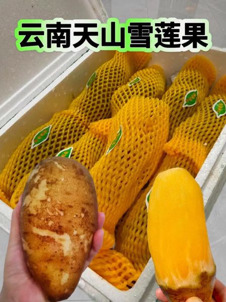 雪莲果怎么吃最好吃_雪莲果的正确吃法-第3张图片-山城妙识