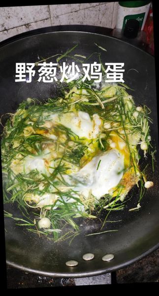 野葱炒鸡蛋怎么做_野葱炒鸡蛋的营养价值-第1张图片-山城妙识