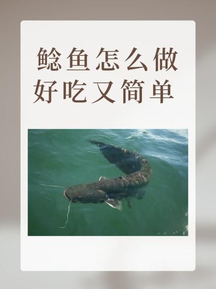 鲶鱼怎么做好吃_家常做法-第2张图片-山城妙识