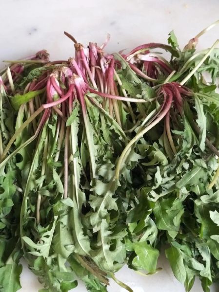 蒲公英野菜怎么吃最好_蒲公英野菜做法大全-第1张图片-山城妙识