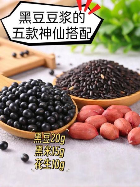黑豆豆浆怎么做_黑豆豆浆的做法大全-第1张图片-山城妙识