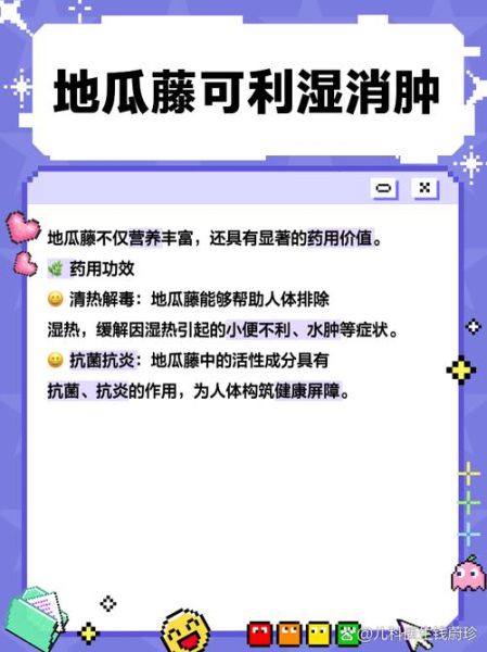 野地瓜藤的功效与作用_野地瓜藤怎么吃-第1张图片-山城妙识
