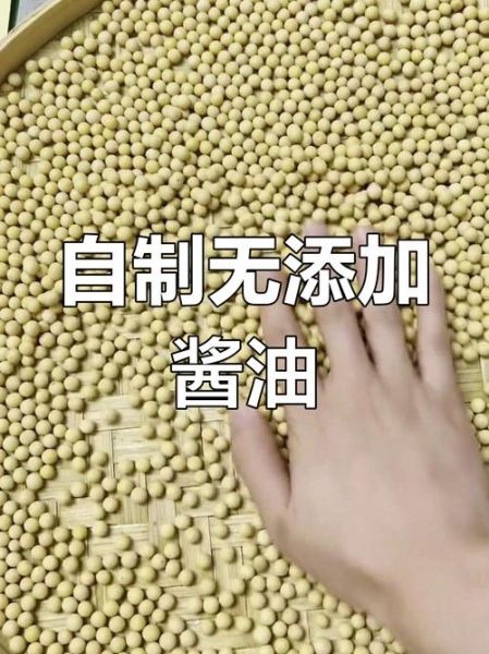 家庭自制酱油怎么做_自制酱油需要哪些材料-第2张图片-山城妙识