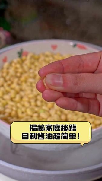 家庭自制酱油怎么做_自制酱油需要哪些材料-第3张图片-山城妙识