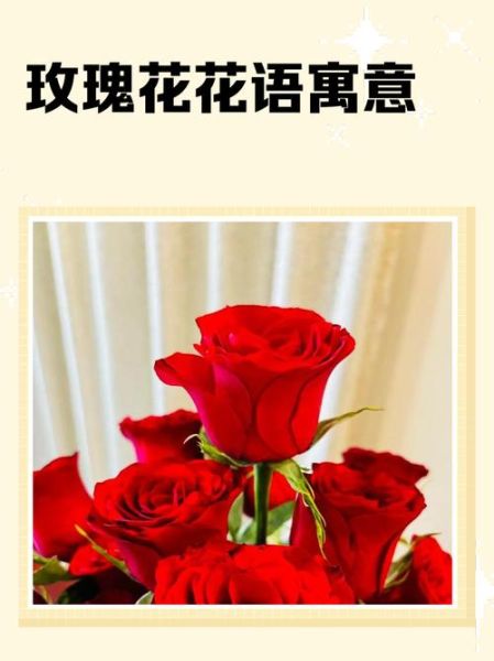 花语希望救赎的花有哪些_如何挑选寓意重生的花束-第2张图片-山城妙识