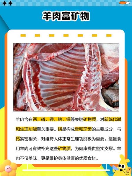 羊肉的营养价值_羊肉的功效与作用-第1张图片-山城妙识 羊肉的营养价值_羊肉的功效与作用-第1张图片-山城妙识