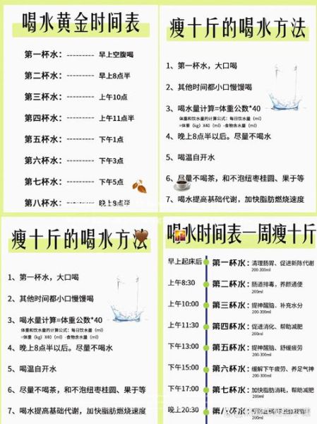 学生一个月瘦身计划表_如何科学减脂-第1张图片-山城妙识