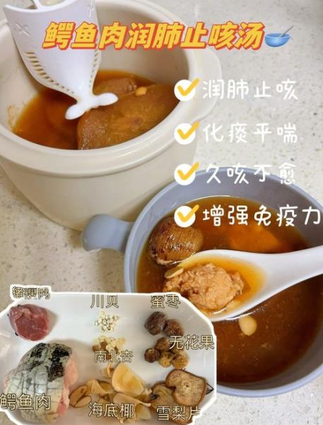 鳄鱼肉煲什么对咳嗽好_鳄鱼肉止咳汤做法-第2张图片-山城妙识