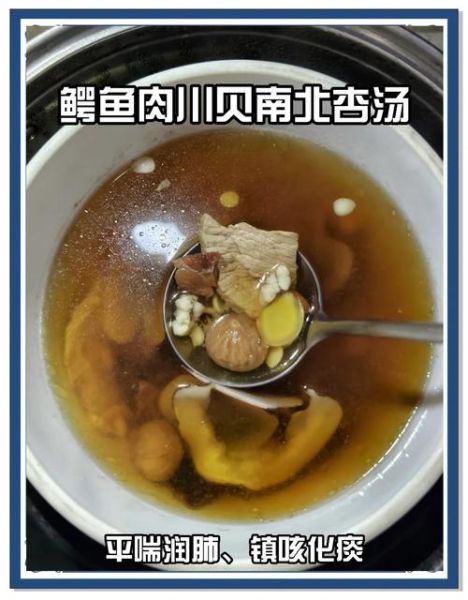 鳄鱼肉煲什么对咳嗽好_鳄鱼肉止咳汤做法-第1张图片-山城妙识