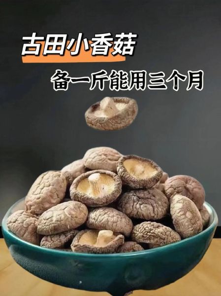 香菇多少钱一斤_2024年最新行情-第1张图片-山城妙识 香菇多少钱一斤_2024年最新行情-第1张图片-山城妙识