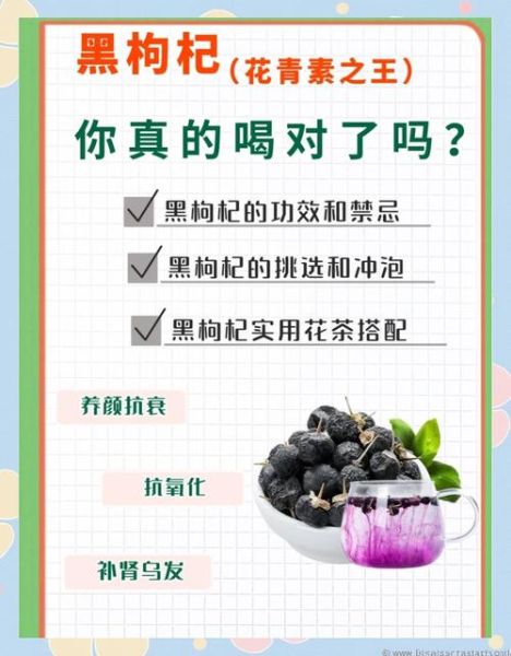 黑枸杞的功效与作用_黑枸杞的禁忌有哪些-第1张图片-山城妙识