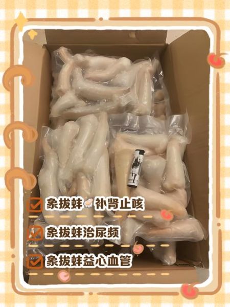 象拔蚌的营养价值_象拔蚌怎么吃最补肾-第1张图片-山城妙识