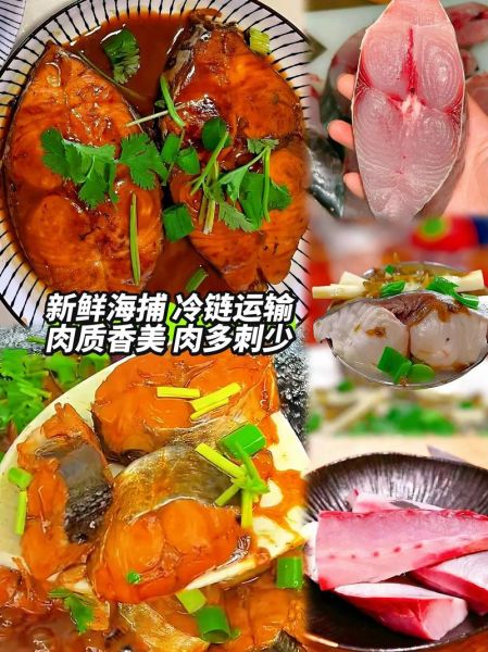 黄金鲅鱼是什么鱼_黄金鲅鱼怎么做好吃-第1张图片-山城妙识