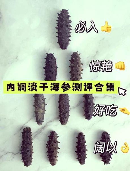 干海参怎么选_干海参挑选技巧-第2张图片-山城妙识