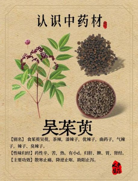 吴茱萸的功效与作用_吴茱萸主治哪些疾病-第1张图片-山城妙识