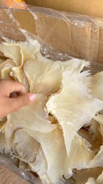 鱼翅的价格多少钱一斤_鱼翅为什么这么贵-第3张图片-山城妙识
