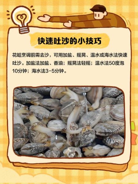 花蛤多少钱一斤_花蛤价格受哪些因素影响-第3张图片-山城妙识