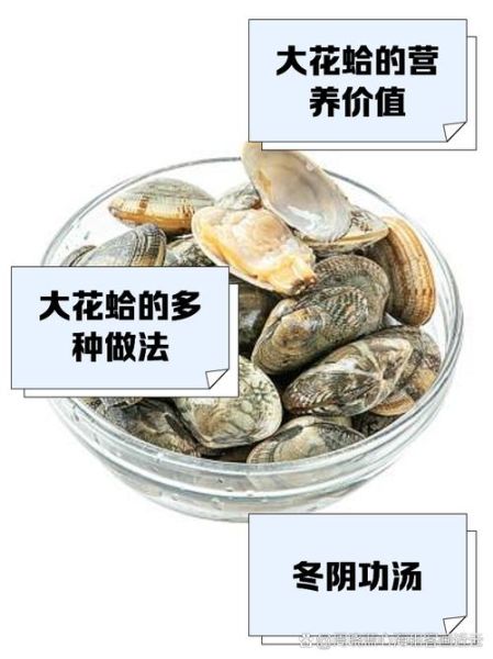 花蛤多少钱一斤_花蛤价格受哪些因素影响-第2张图片-山城妙识