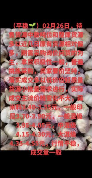 今天大蒜多少钱一斤_2024年6月大蒜价格走势-第1张图片-山城妙识