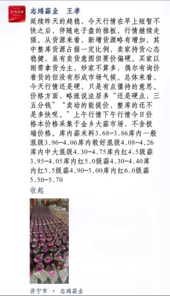 今天大蒜多少钱一斤_2024年6月大蒜价格走势-第2张图片-山城妙识