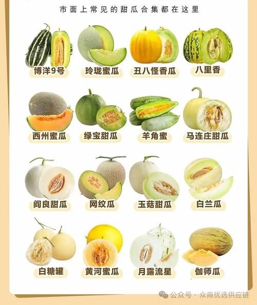 瓜果蔬菜图片大全_如何快速识别常见品种-第2张图片-山城妙识