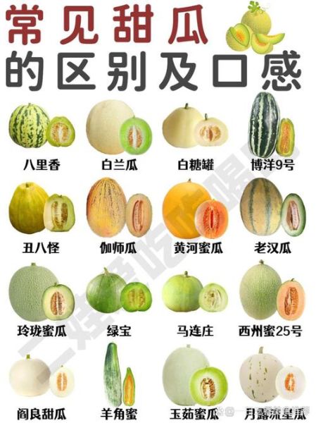 瓜果蔬菜图片大全_如何快速识别常见品种-第1张图片-山城妙识