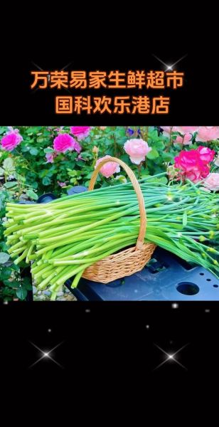 蒜苔价格最新行情走势图_蒜苔价格为什么上涨-第1张图片-山城妙识