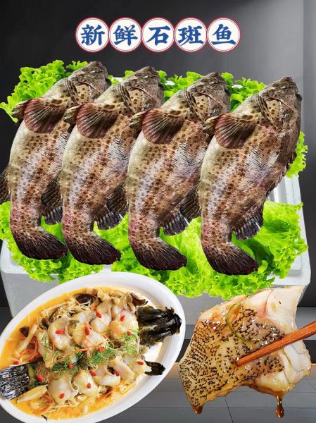 黑石斑鱼多少钱一斤_黑石斑鱼怎么做好吃-第1张图片-山城妙识