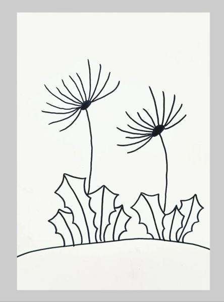 蒲公英简笔画怎么画_蒲公英简笔画教程-第1张图片-山城妙识
