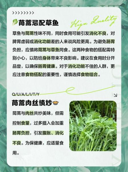 茼蒿菜什么人不能吃_茼蒿菜不能和什么一起吃-第1张图片-山城妙识
