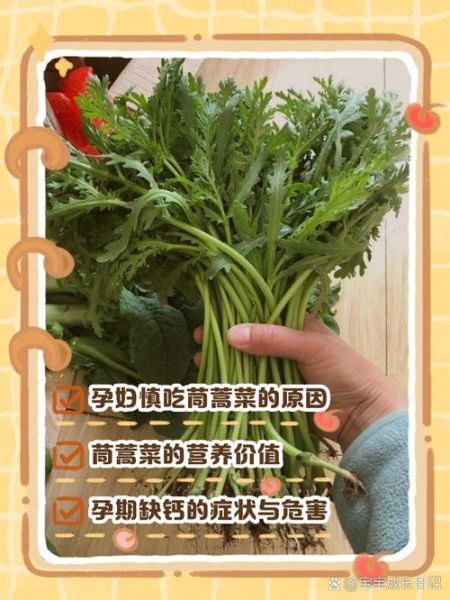 茼蒿菜什么人不能吃_茼蒿菜不能和什么一起吃-第3张图片-山城妙识