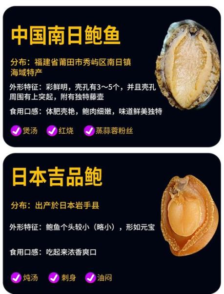 鲍鱼图片品种大全价格_如何区分不同鲍鱼等级-第2张图片-山城妙识