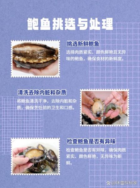 鲍鱼图片品种大全价格_如何区分不同鲍鱼等级-第3张图片-山城妙识