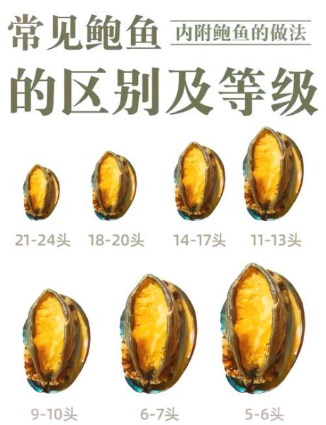 鲍鱼图片品种大全价格_如何区分不同鲍鱼等级-第1张图片-山城妙识