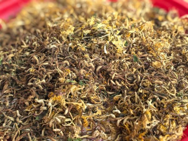 金银花治疗咽炎效果好吗_金银花泡水怎么喝才有效-第3张图片-山城妙识