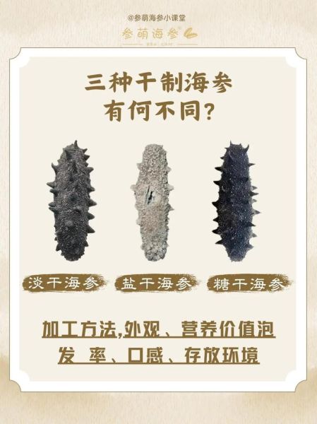 盐渍海参和淡干海参哪个好_盐渍海参和淡干海参的区别-第2张图片-山城妙识