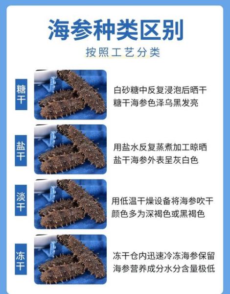 盐渍海参和淡干海参哪个好_盐渍海参和淡干海参的区别-第1张图片-山城妙识