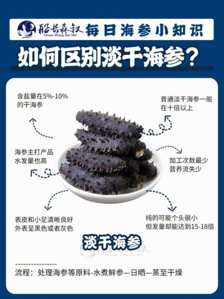 盐渍海参和淡干海参哪个好_盐渍海参和淡干海参的区别-第3张图片-山城妙识